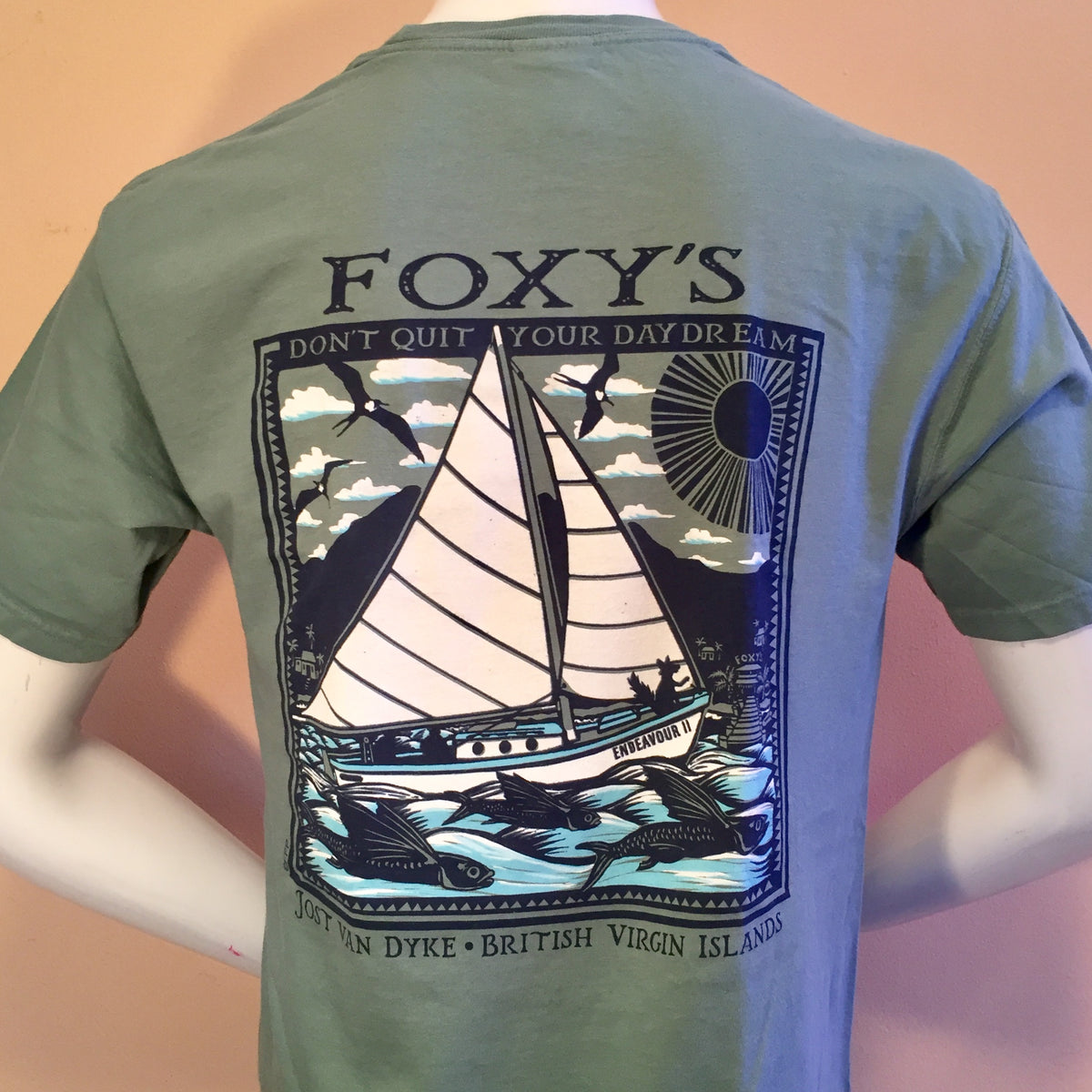 Foxy's 'Don't Quit Your Daydream' Short Sleeve Tee – Foxy's BVI