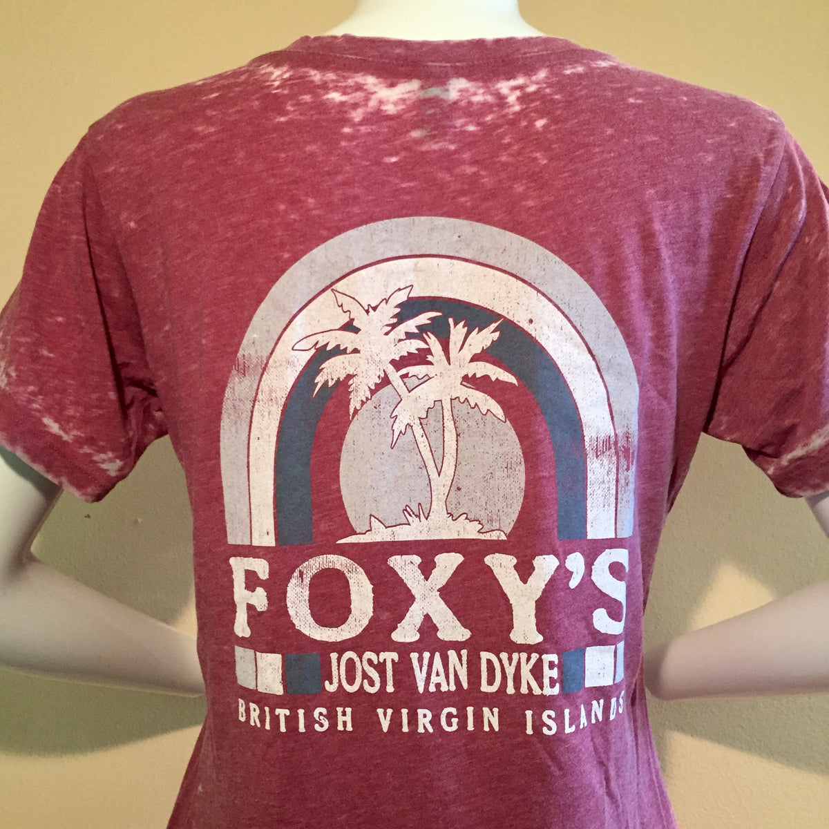 xFoxy's 'Retro Palm' Ladies V-Neck Tee – Foxy's BVI